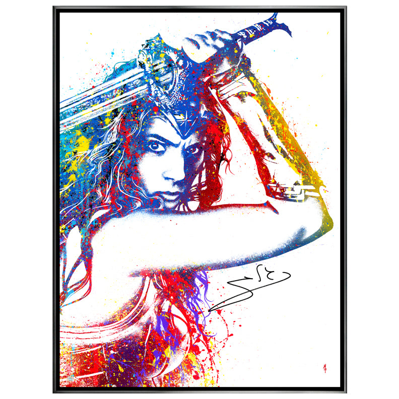Gal Gadot Autographed Michael Ferrari Wonder Woman 33"×43" Framed Canv ...