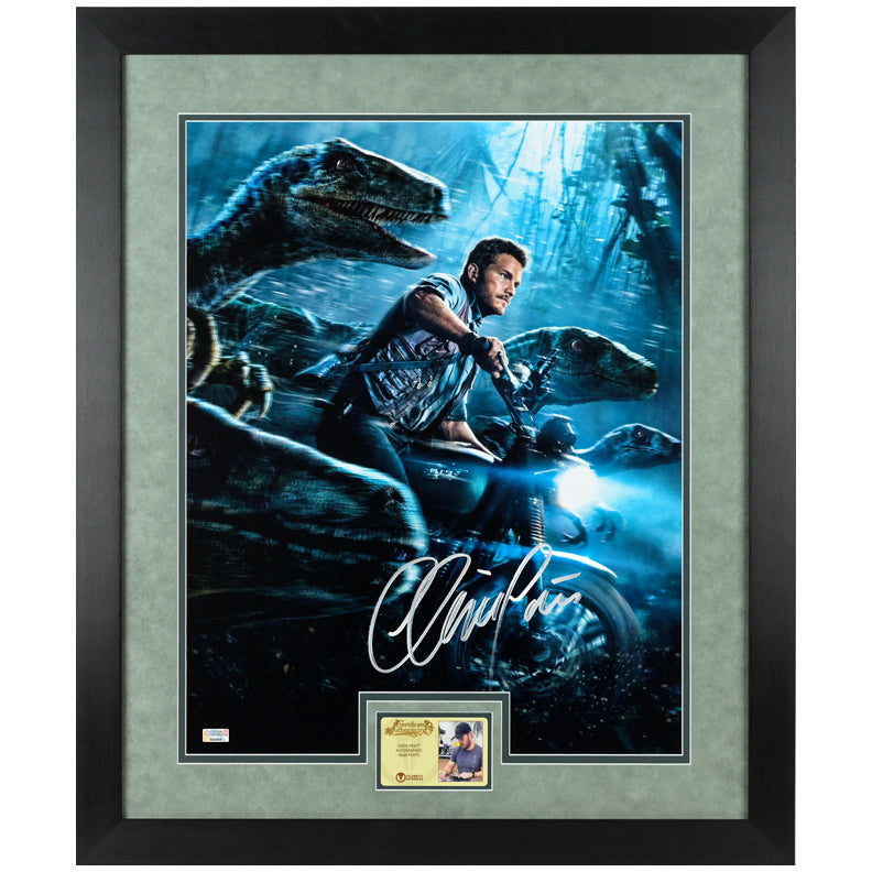 Chris Pratt Autographed Jurassic World The Hunt 16×20 Photo – Celebrity ...