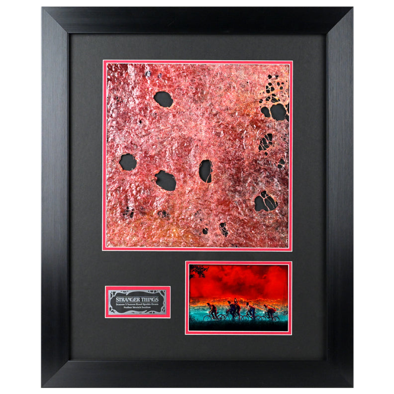 Stranger Things Seaon 5 Screen Used The Neither Stretch Framed Display ...