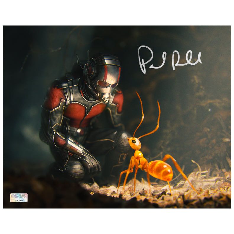 Paul Rudd Autographed Ant-Man 8×10 Scene Photo – Celebrity Authentics